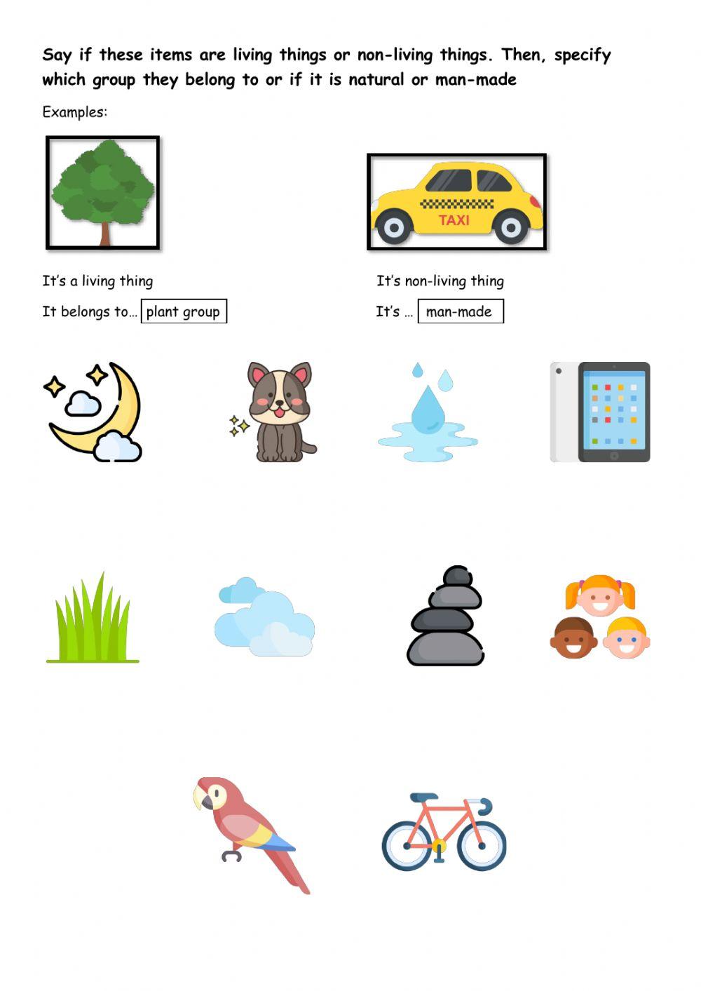 Natural Non Living Things Examples