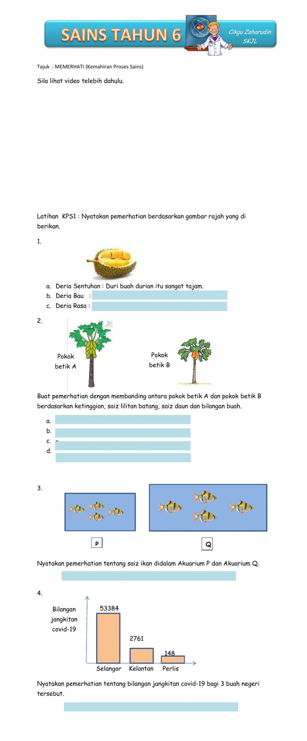 Memerhati activity | Live Worksheets