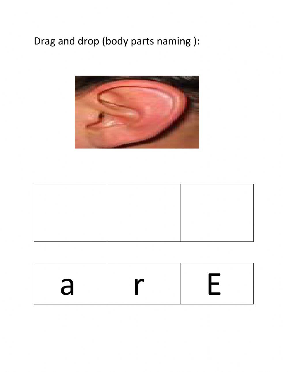 Ear activity | Live Worksheets
