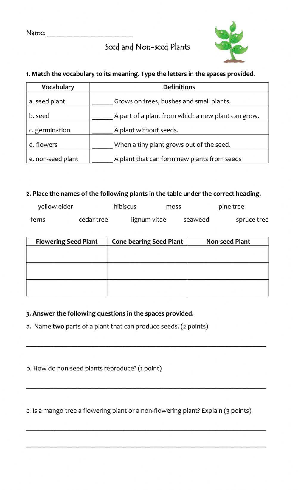 seed producing plants answer