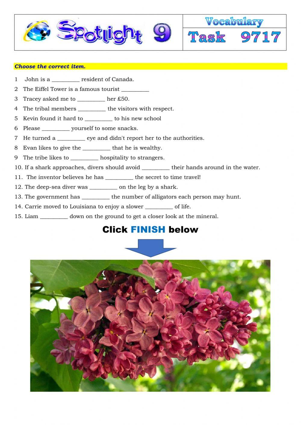 Spotlight 9 Task 9717 worksheet | Live Worksheets