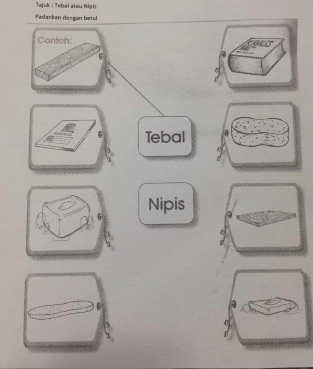 Objek tebal dan nipis worksheet | Live Worksheets