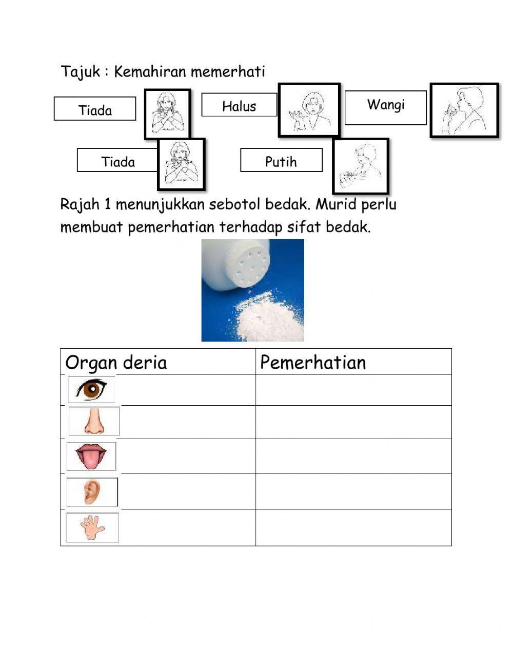 Kemahiran memerhati worksheet | Live Worksheets