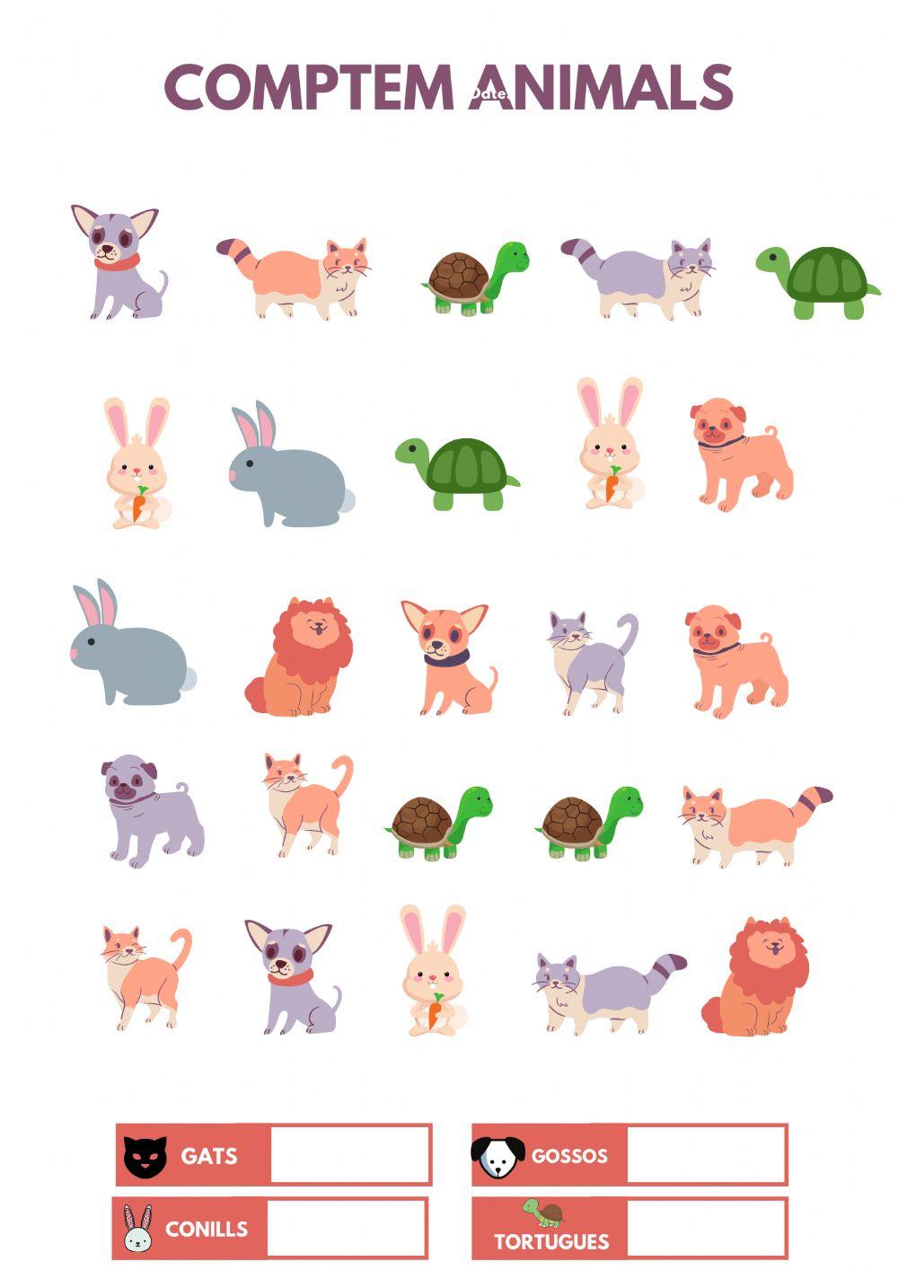 Comptem animals worksheet | Live Worksheets