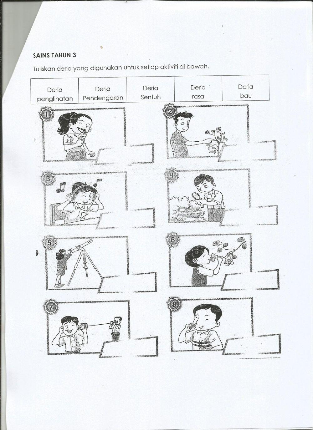 KPS memerhati 661255 | Razirahim | LiveWorksheets