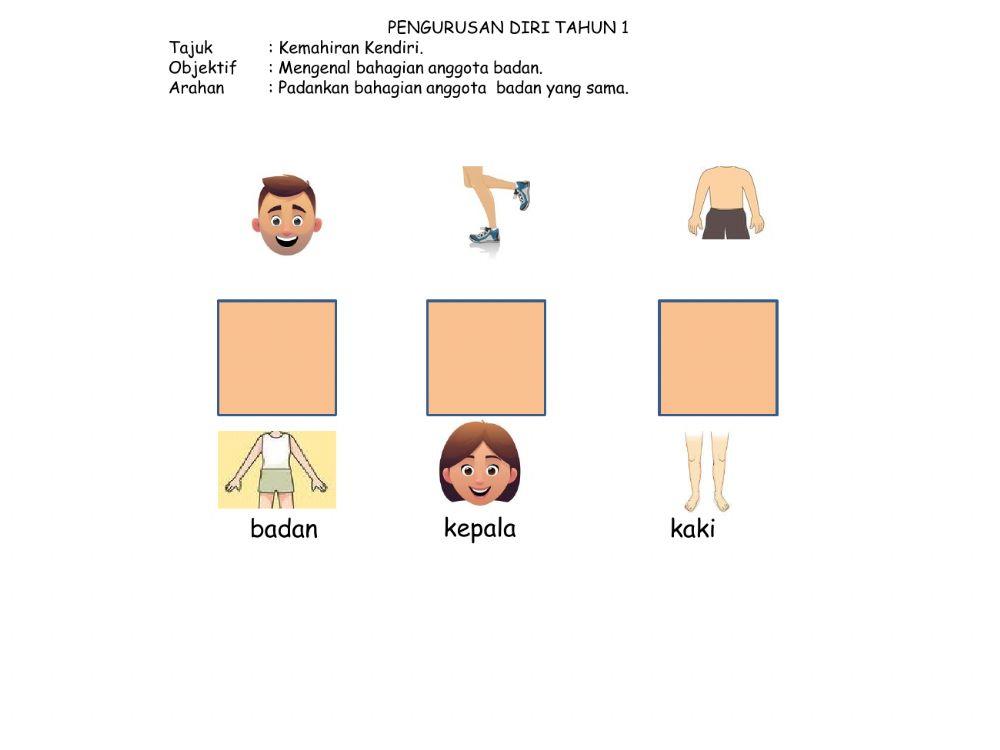Padankan Anggota Badan worksheet | Live Worksheets