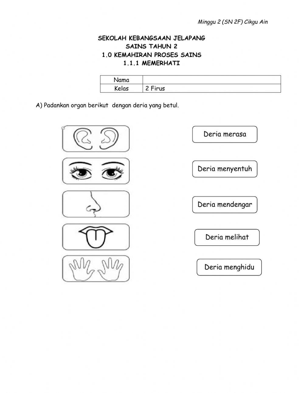 Memerhati Kemahiran Proses Sains worksheet | Live Worksheets