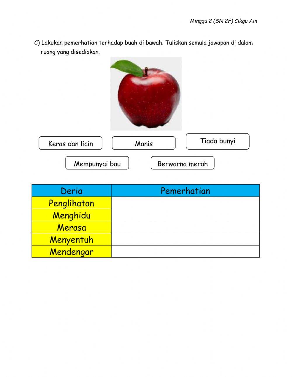 Memerhati Kemahiran Proses Sains worksheet | Live Worksheets