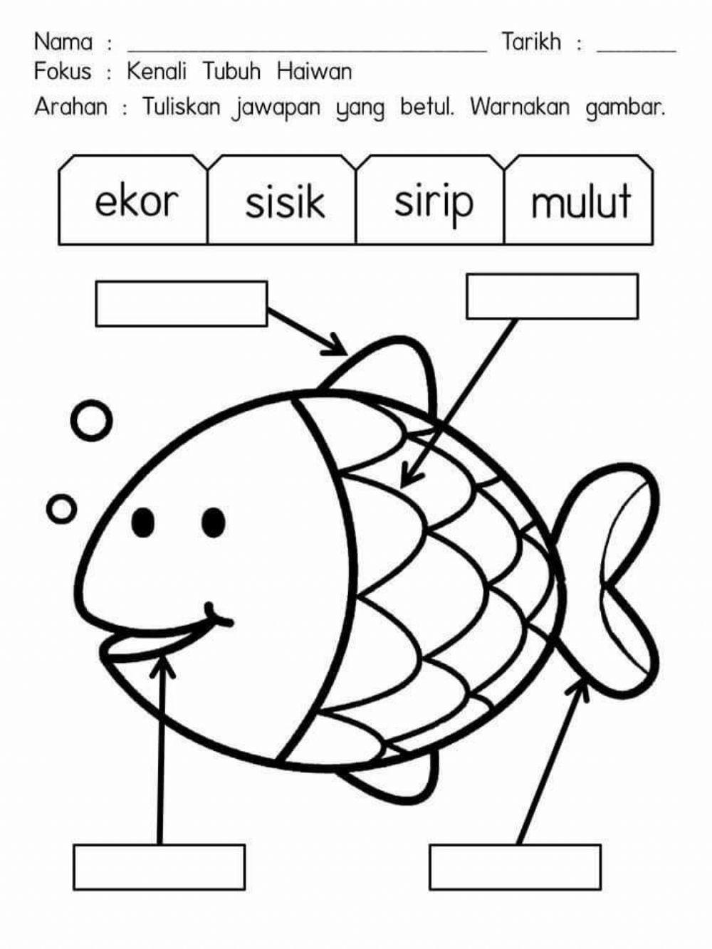 Mengenal Anggota tubuh haiwan worksheet | Live Worksheets