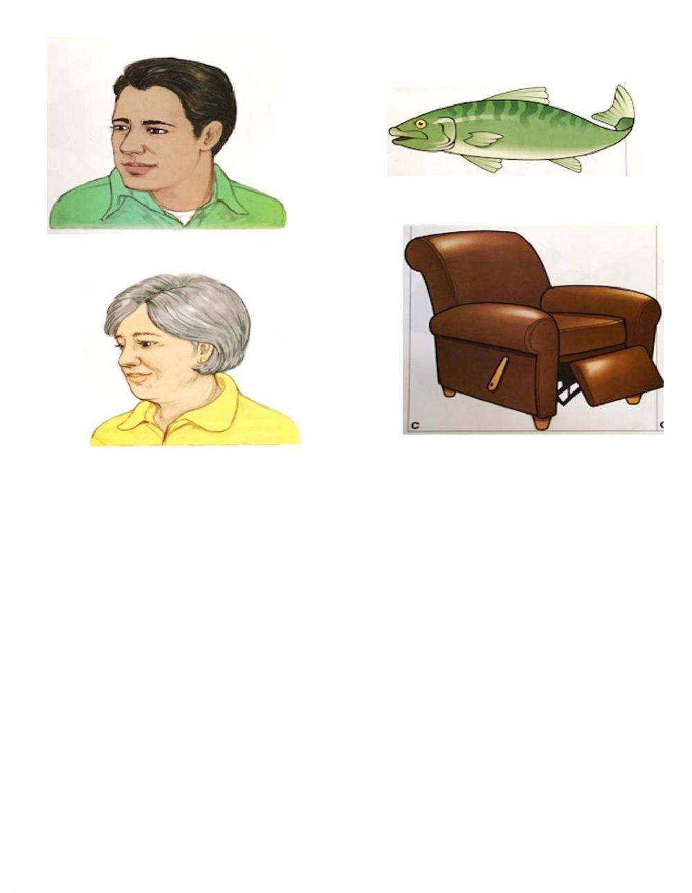 object-identification-interactive-worksheet-live-worksheets