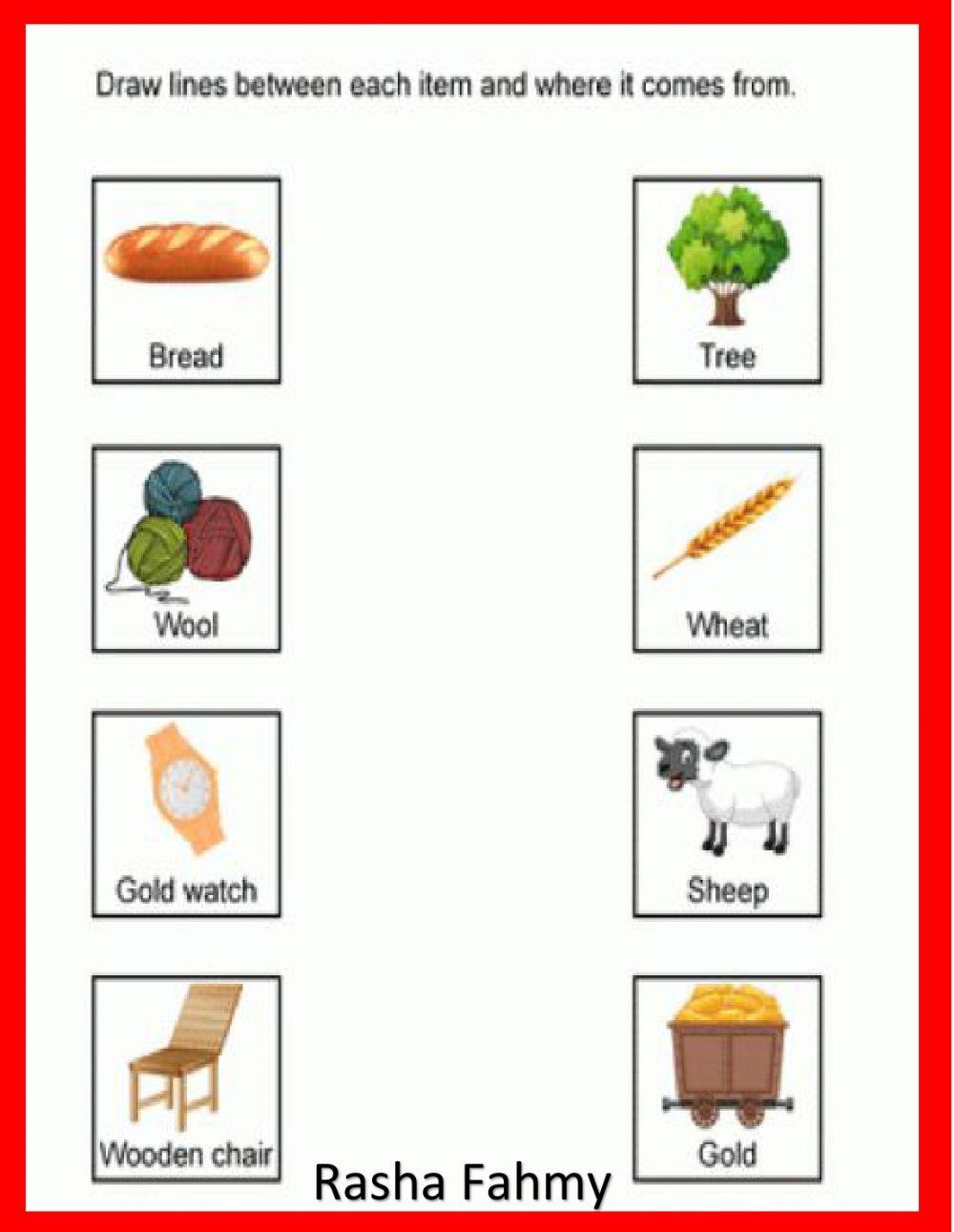 Draw lines betw… | Free Interactive Worksheets | 663341