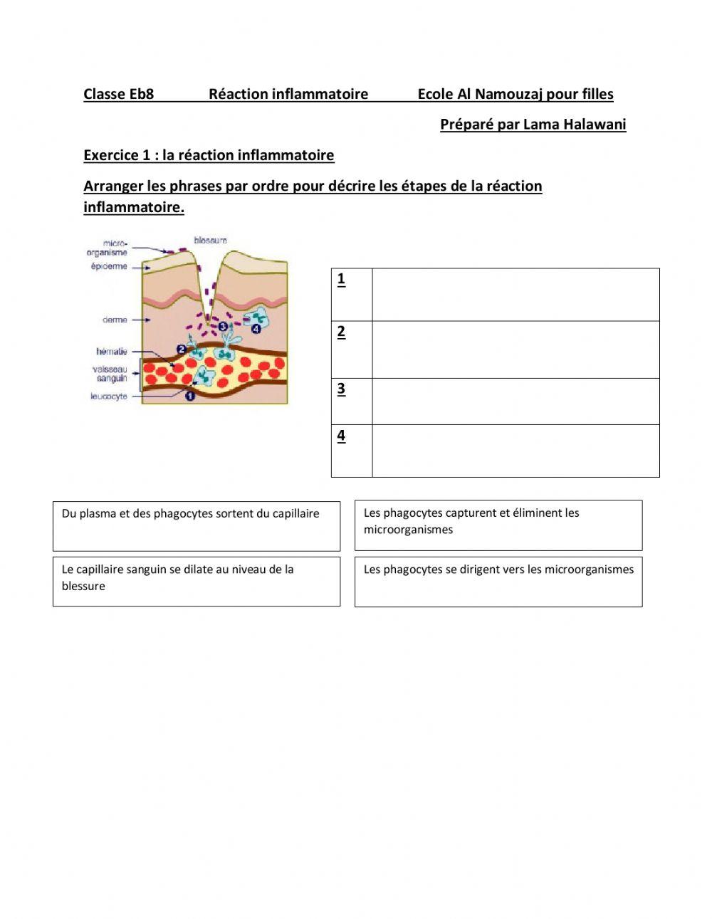 Bio activity | Live Worksheets