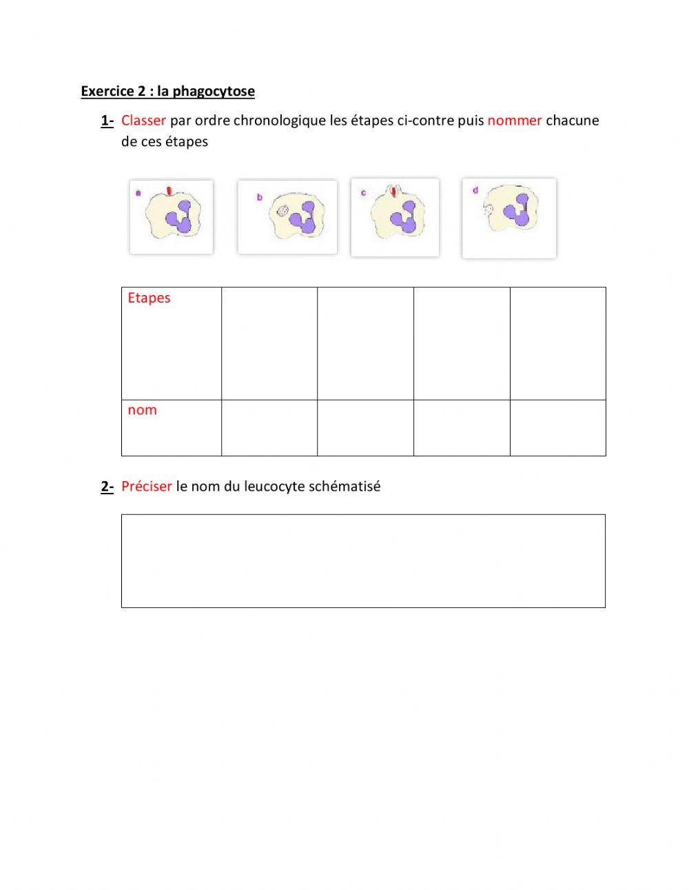 Bio activity | Live Worksheets