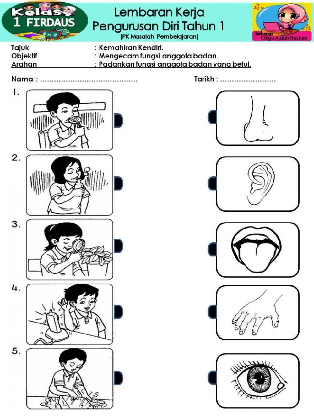 Fungsi anggota badan interactive worksheet | Live Worksheets