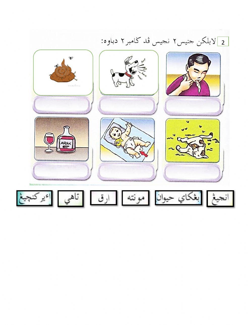 Latihan Feqah | Free Interactive Worksheets | 666740