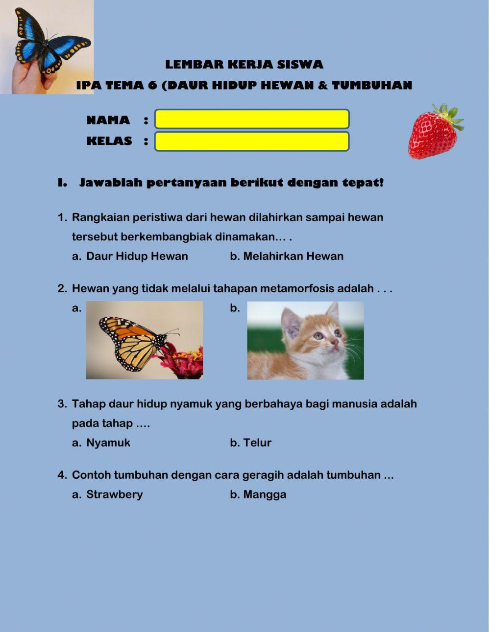 IPA Tema 6 668155 | Nur Fauziyah Syifa | Live Worksheets