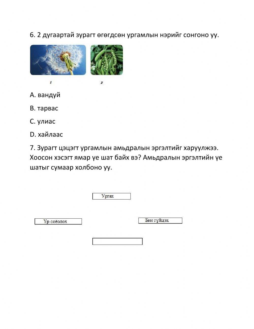 Хүн ба байгаль цэцэгт ургамал нэгж Worksheet Live Worksheets