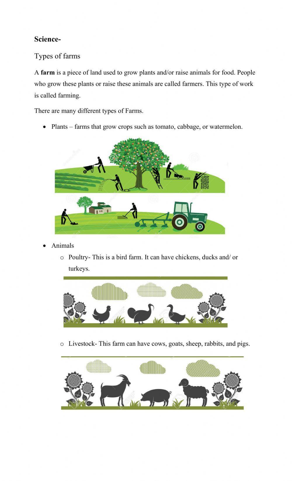 Types of farms | Free Interactive Worksheets | 669296