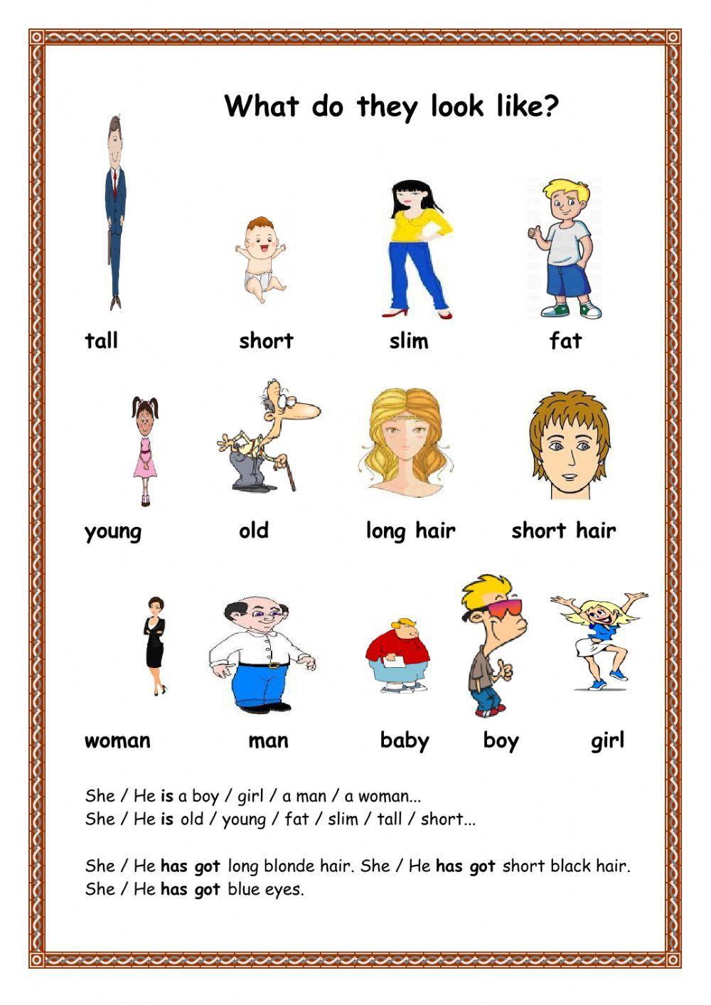 -4 ADJECTIVES GRADE 8 online exercise for | Live Worksheets