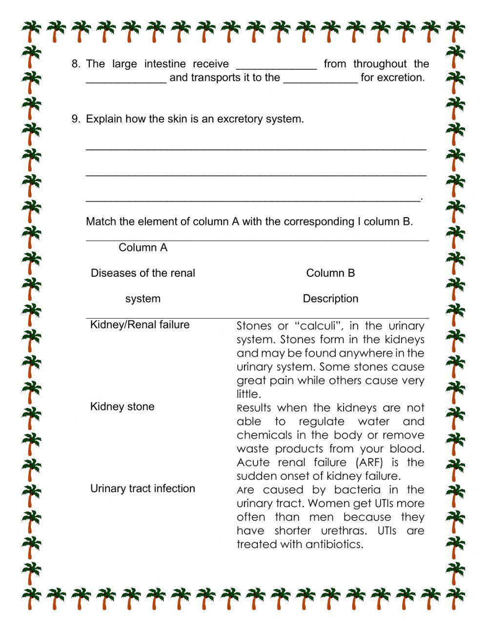 The excretory S… | Free Interactive Worksheets | 669905