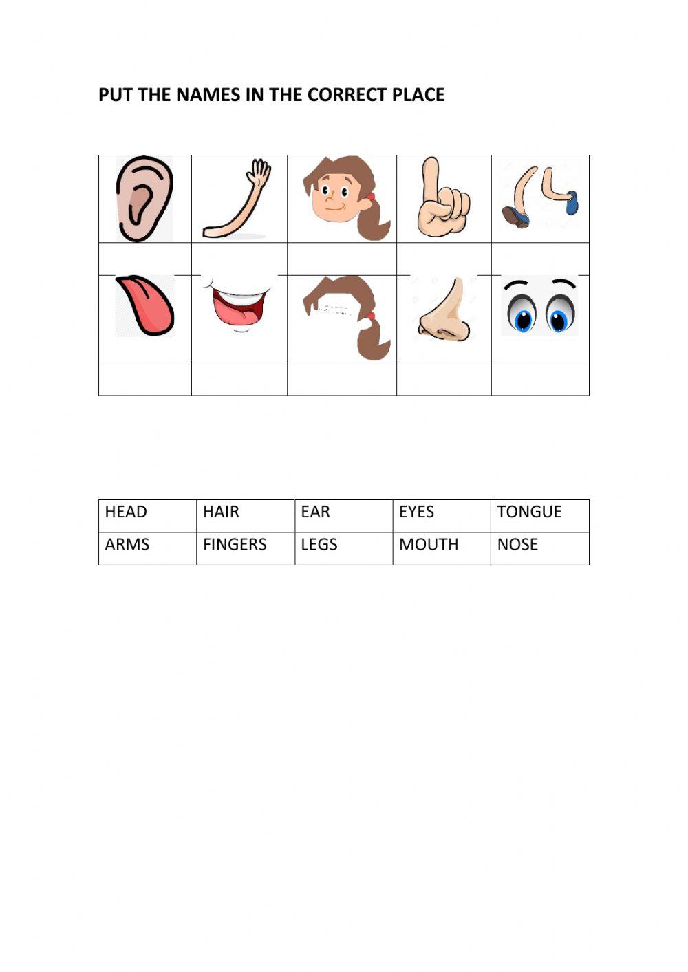 Put in the correct place | LiveWorksheets | 671022