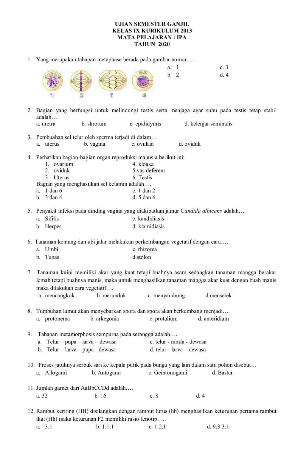 Soal latihan free online activity | Live Worksheets