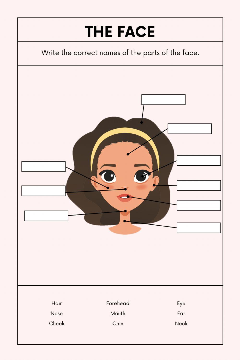 672203 | Parts of the face | Andrea Ordaz