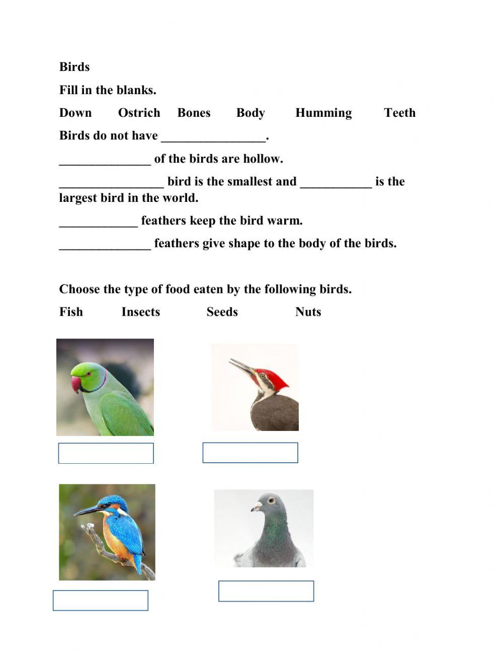 Birds Free Exercise Live Worksheets birds-free-exercise-live-worksheets
