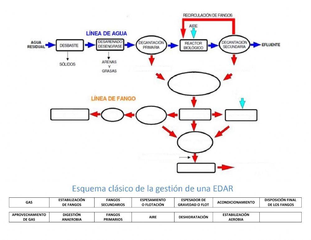 Esquema clásico… | Free Interactive Worksheets | 674905