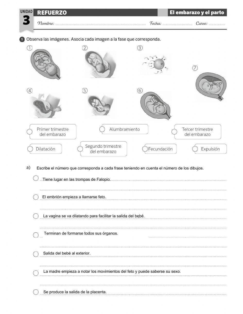 NATURALES 6º TEMA 3 REPASO 3 online exercise for | Live Worksheets