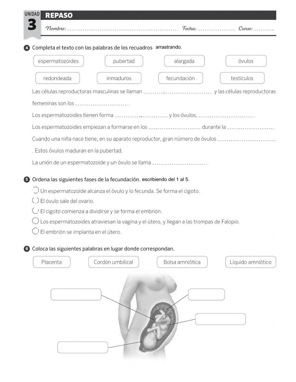 NATURALES 6º TEMA 3 REPASO 4 online exercise for | Live Worksheets