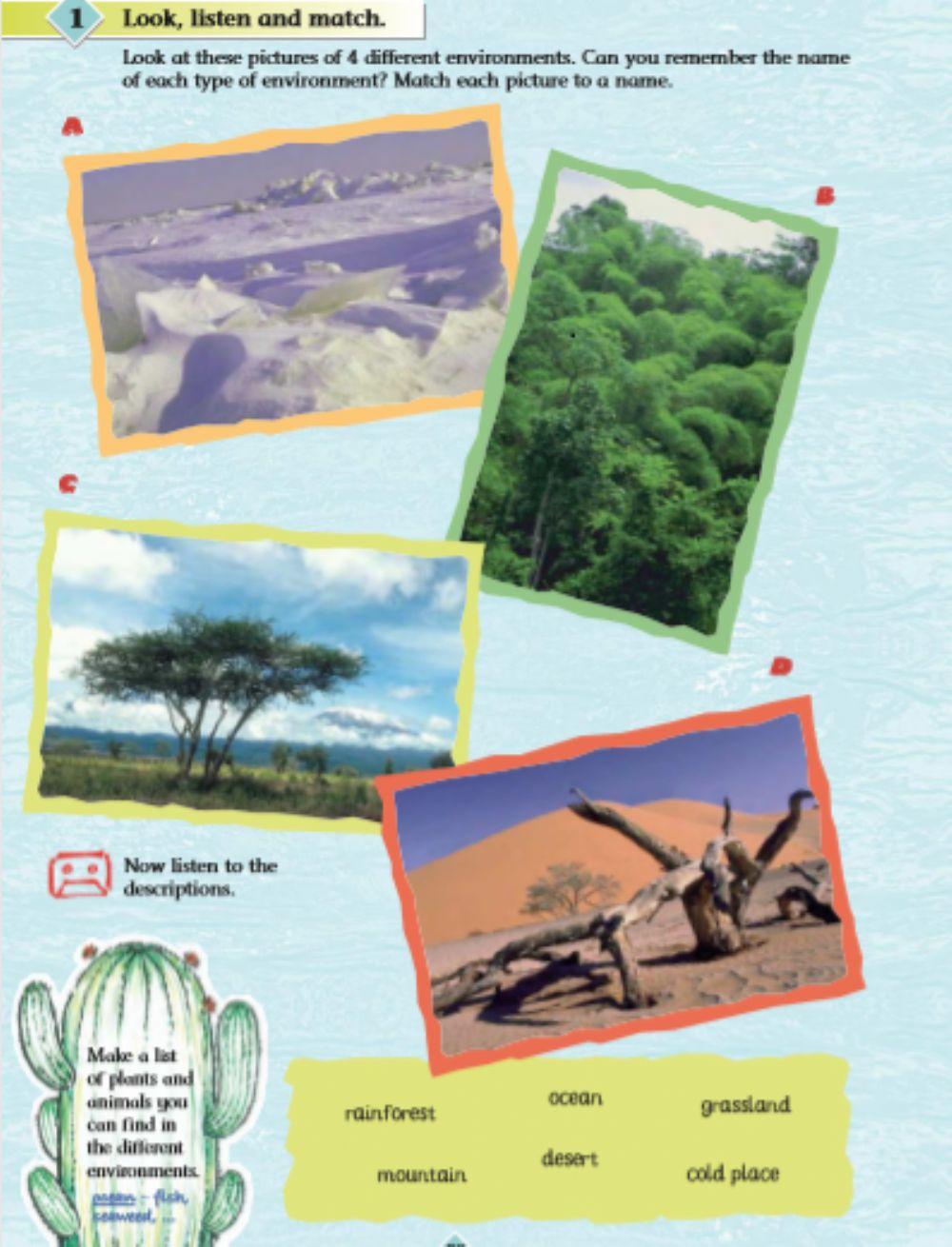 Environments exercise | Live Worksheets