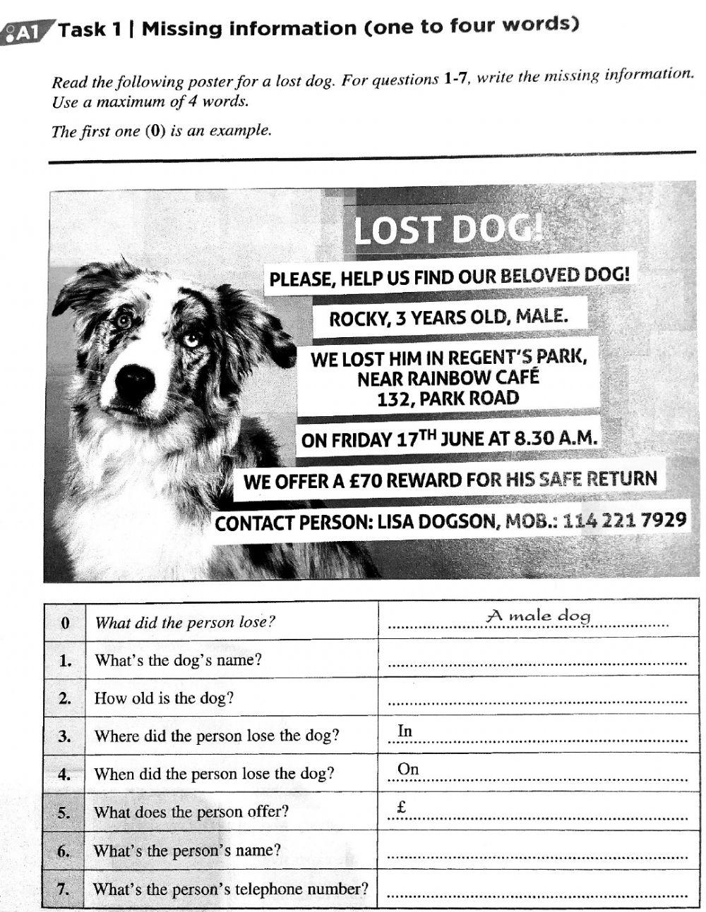 Reading 1 prova… | Free Interactive Worksheets | 4585962