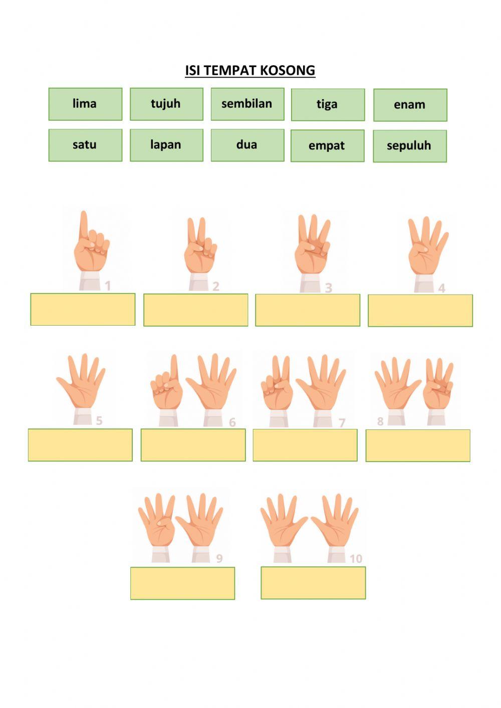 Transisi interactive worksheet | Live Worksheets