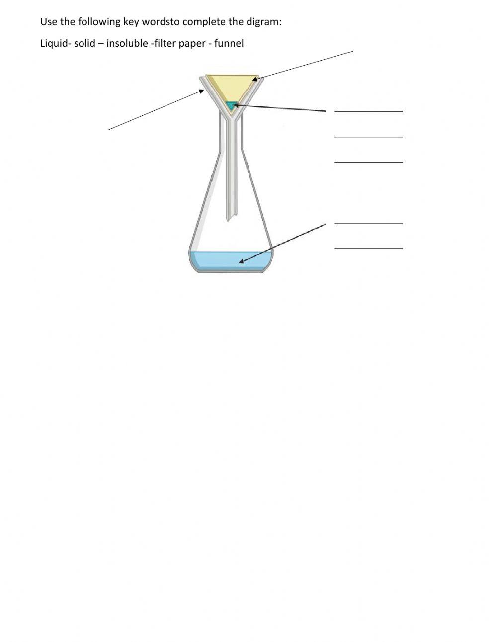 Separation Clas… | Free Interactive Worksheets | 677791