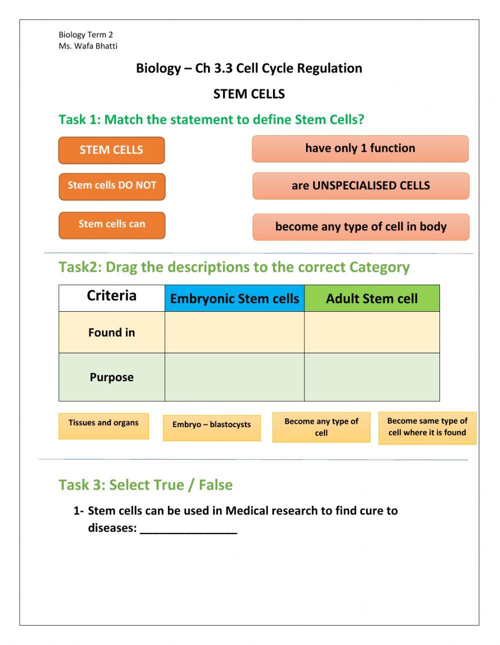 Stem Cells | Free Interactive Worksheets | 678204