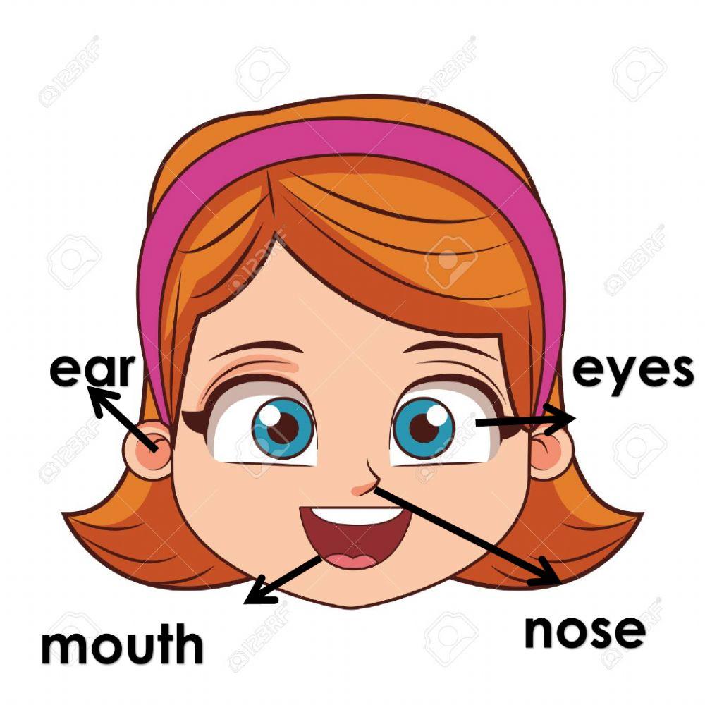 My face | Free Interactive Worksheets | 678720