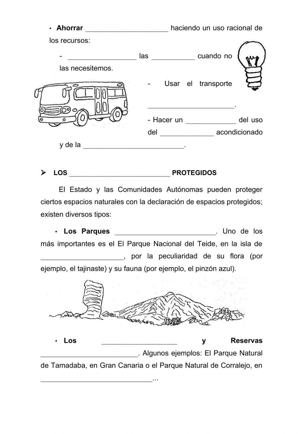 La conservación… | Free Interactive Worksheets | 681146