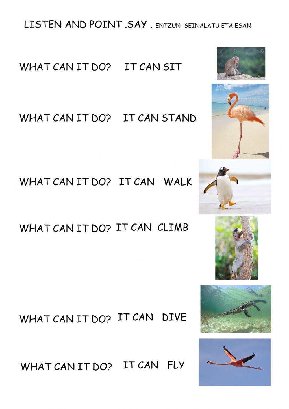 Unit 2 unit 2 animals 2 worksheet | Live Worksheets