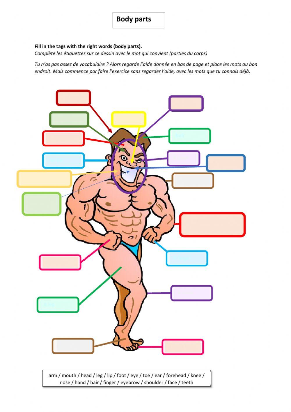 5eme U2 - Body parts worksheet | Live Worksheets