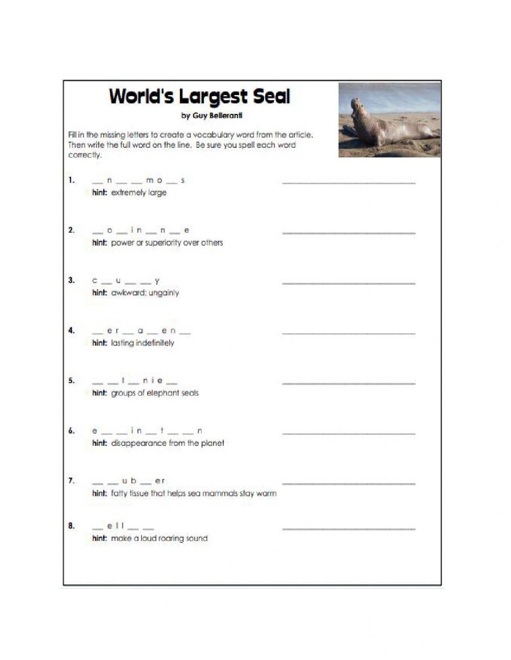 World's Largest Seal 4593606 | Henry McCoy