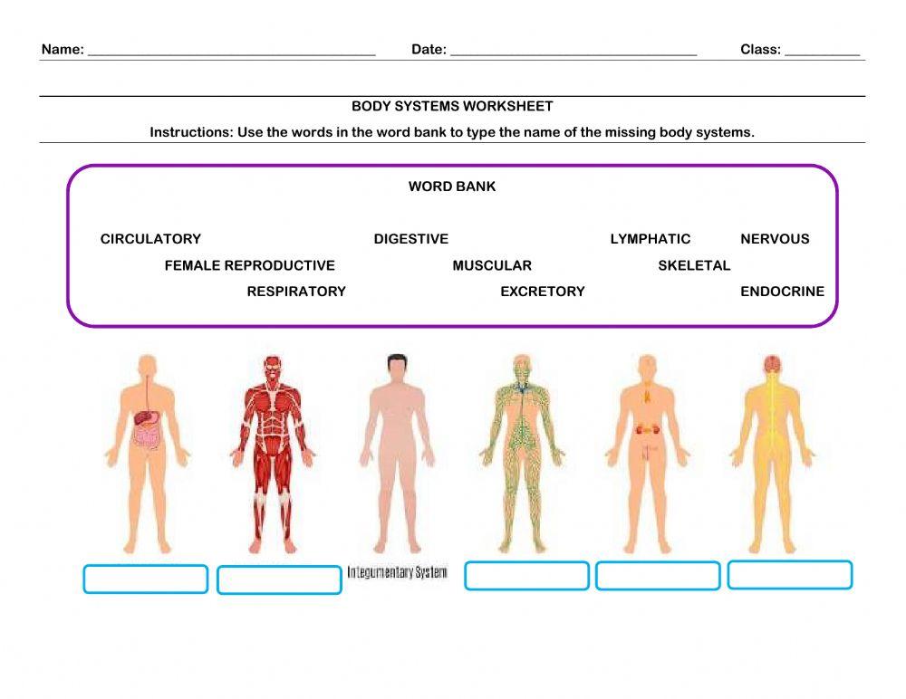 Identifying Bod… | Free Interactive Worksheets | 620894