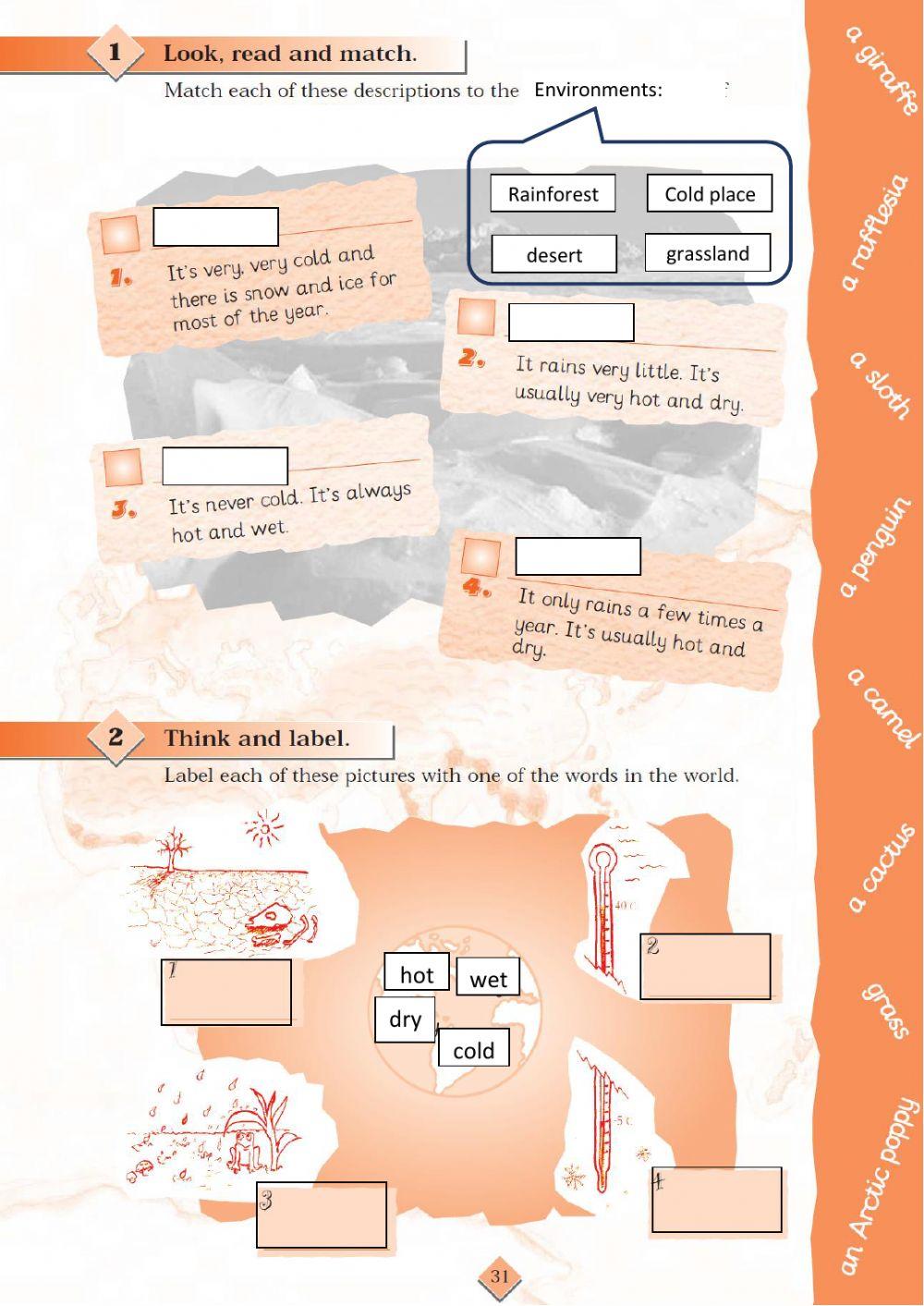 Exciting Environment & weather 4596453 | sweet_sawsan