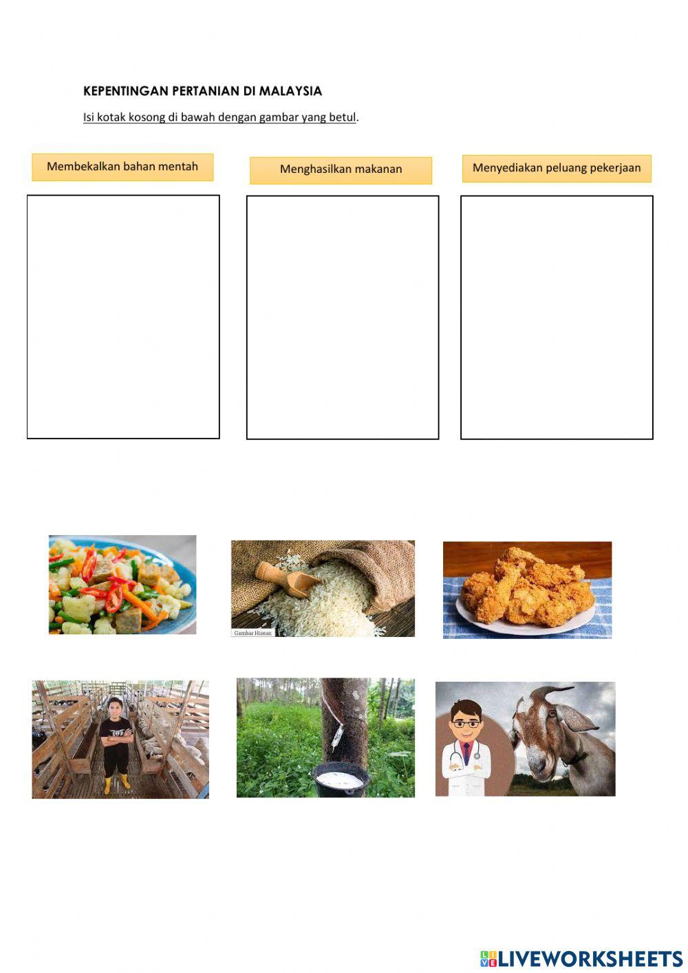 Kepentingan pertanian di malaysia exercise | Live Worksheets