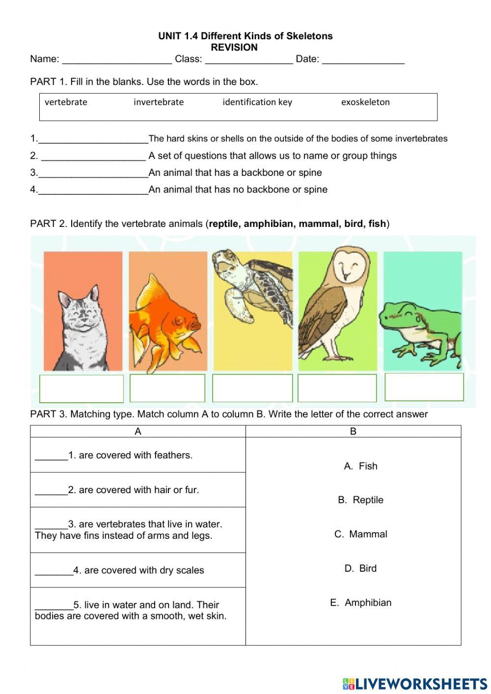 1469665 | Different kinds skeletons | Laver