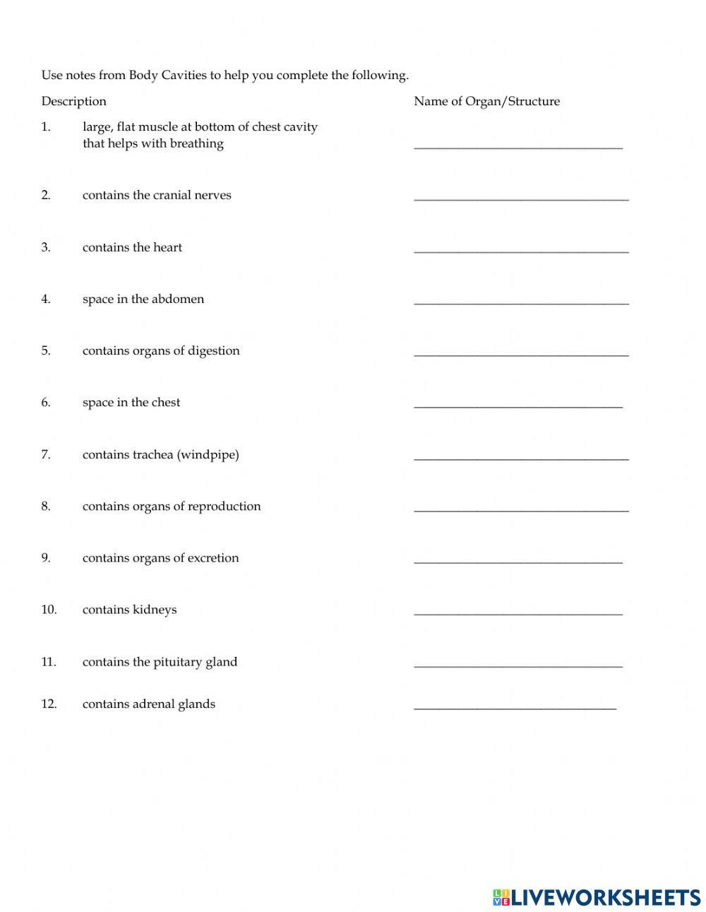Body Cavities online exercise for | Live Worksheets