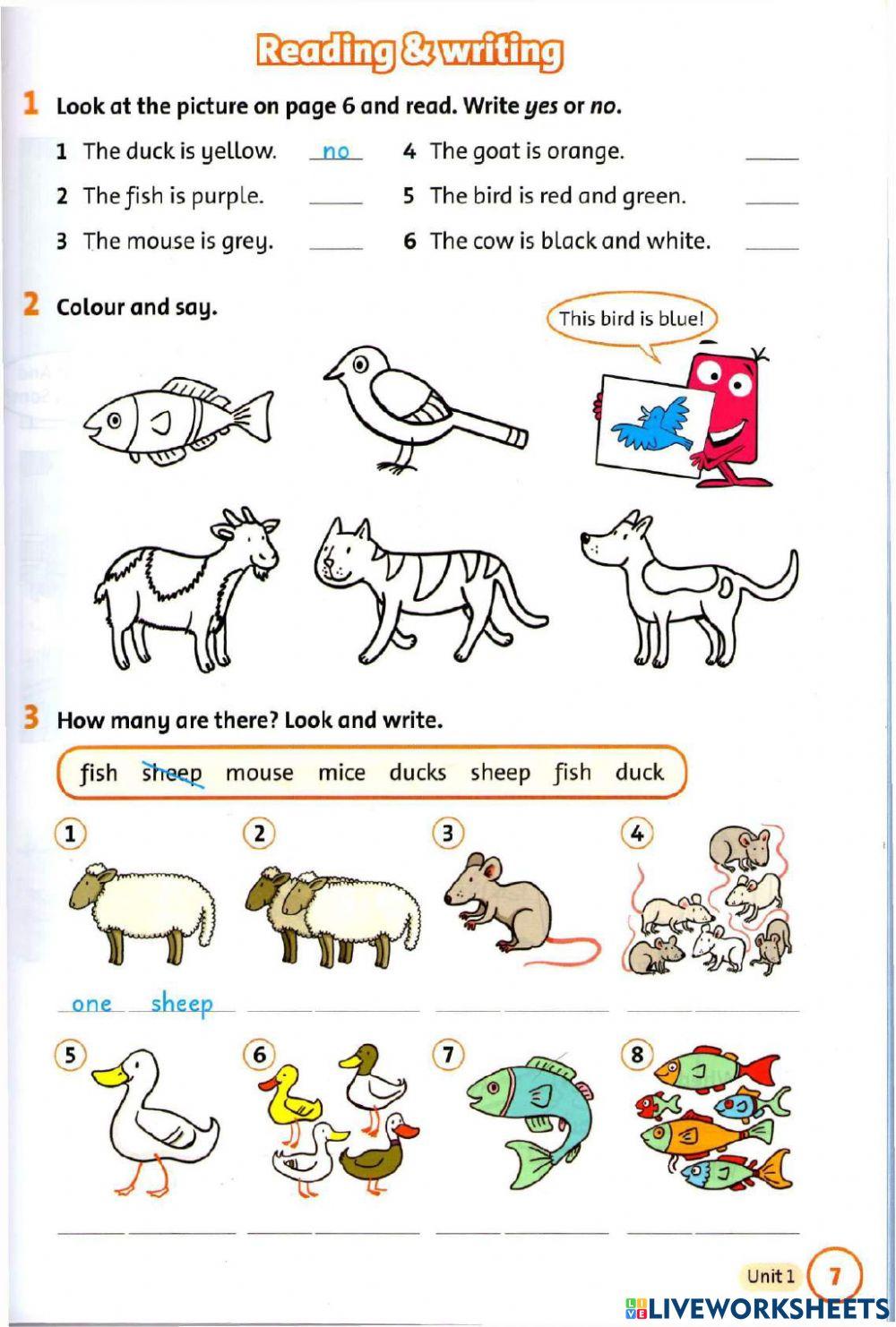 Unit 1 - starter worksheet | Live Worksheets