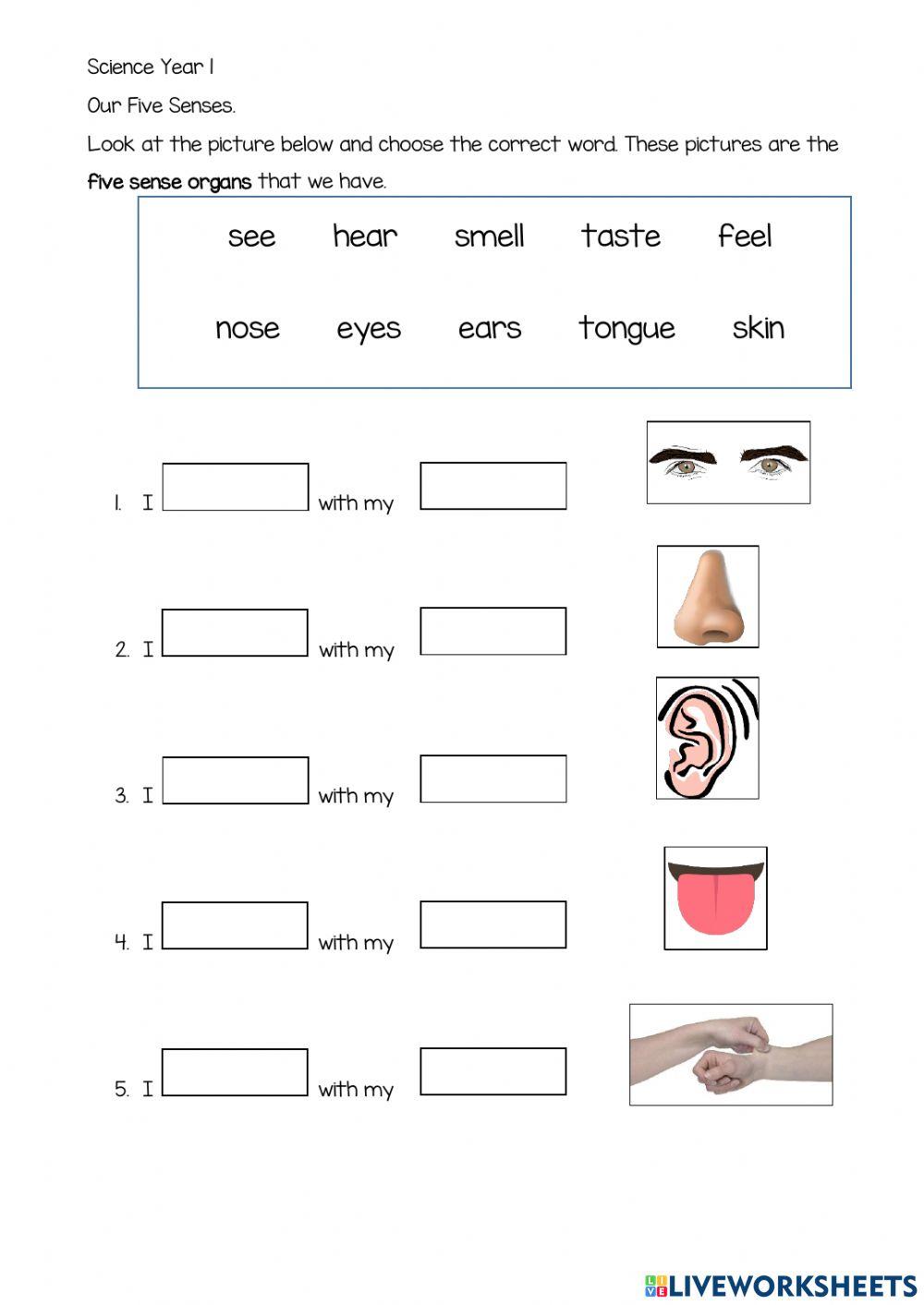Sense Organ | Free Interactive Worksheets | 1471285