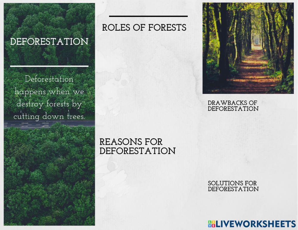 CPS6-Unit 2.5: Deforestation worksheet | Live Worksheets