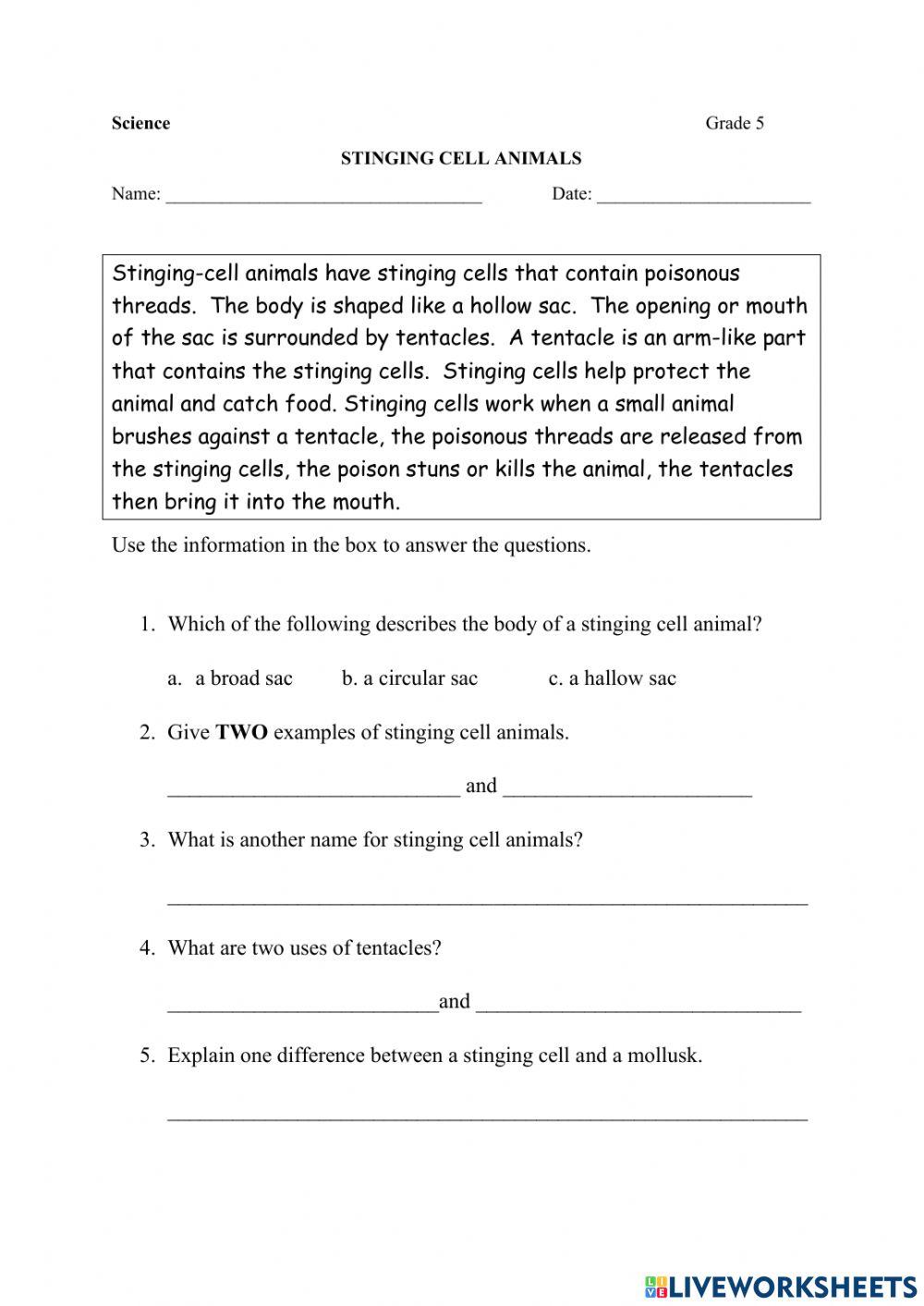 Stinging Cell Animals worksheet 6732254 | reginaBonaby